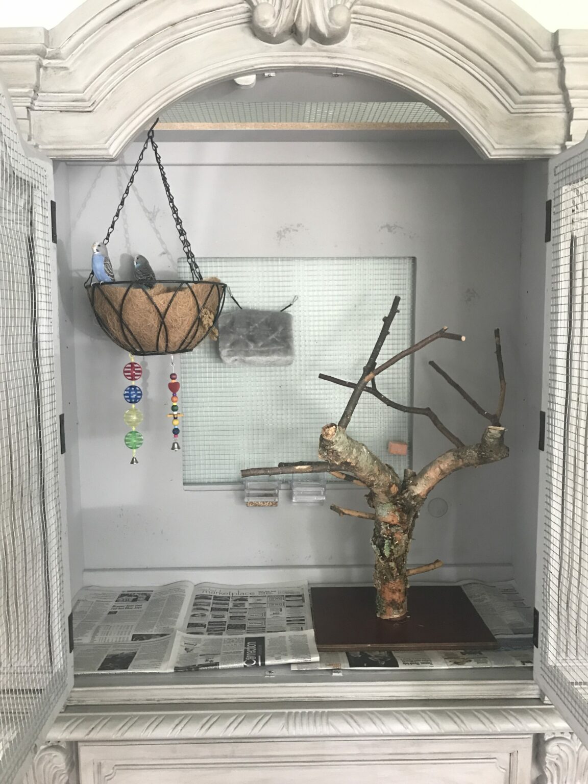 DIY Bird Aviary - SimplySwider.com