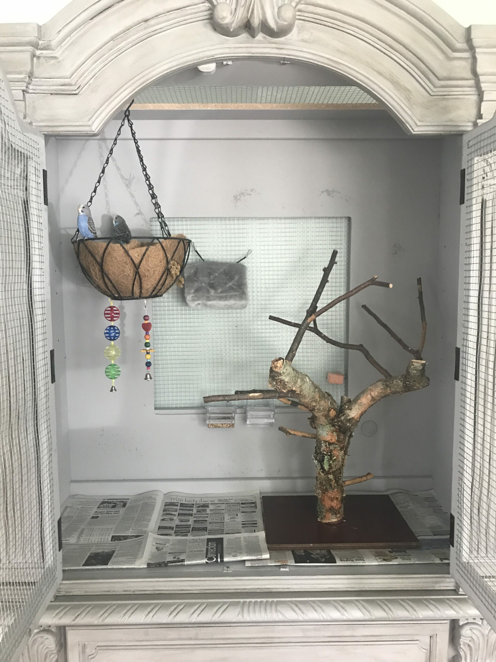 DIY Bird Aviary - SimplySwider.com
