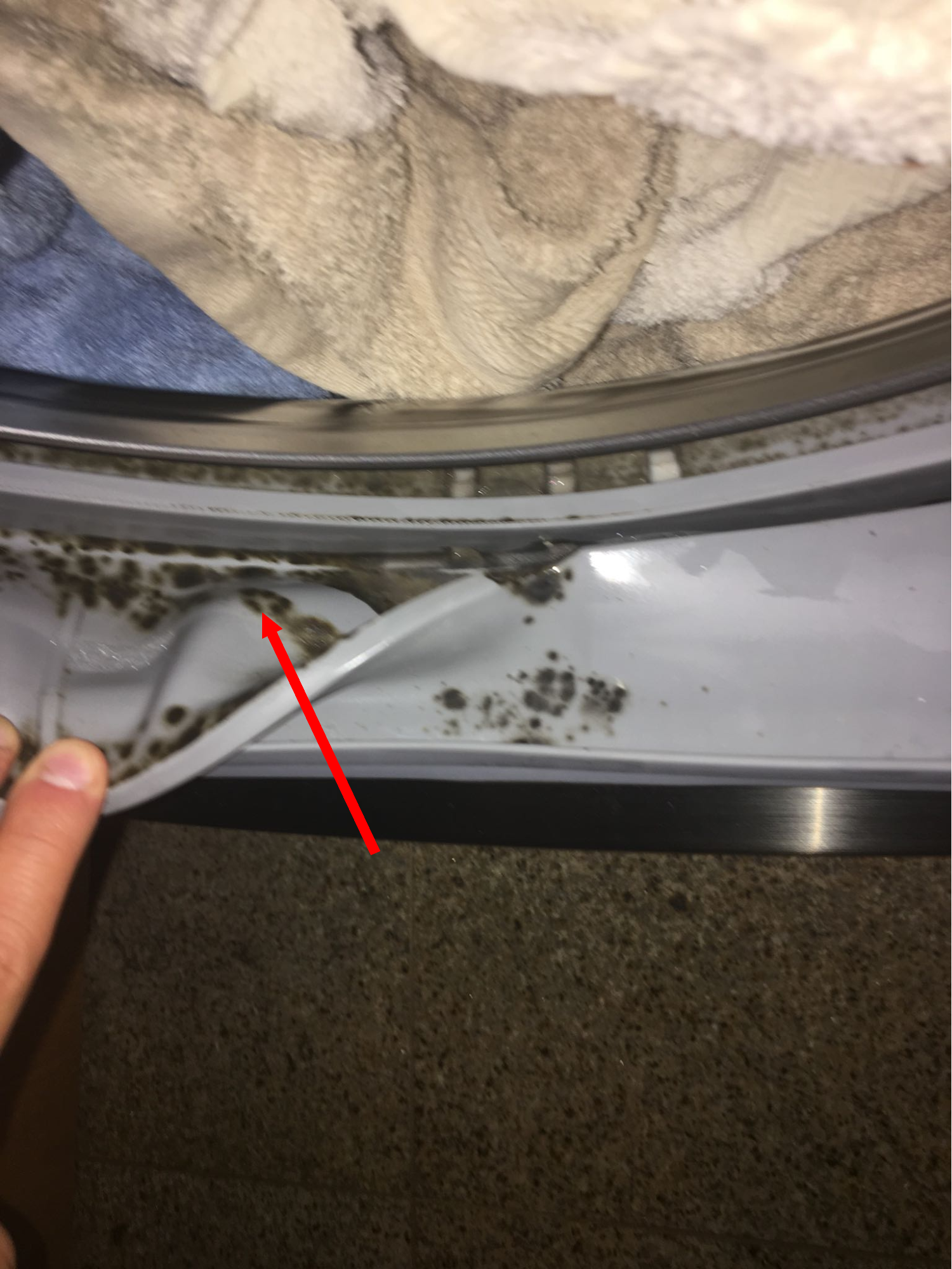 Black Flakes in Washing Machine: Causes & Fixes - SimplySwider.com