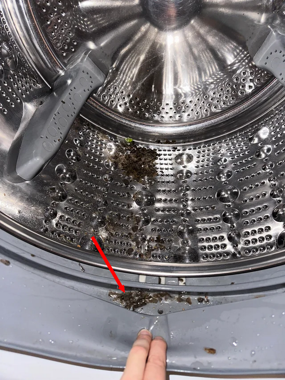 Black Flakes in Washing Machine: Causes & Fixes - SimplySwider.com